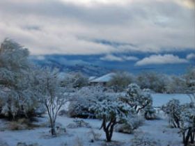 Snowfall in Tucson Leads to Multiple Road Closures